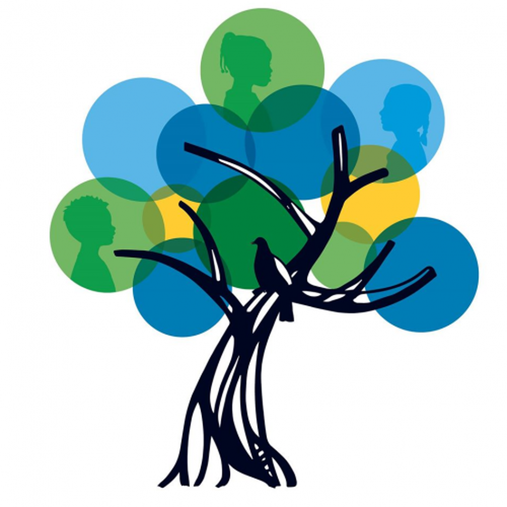 Addington Primary School Te Kura Taumatua – Our journey with Houhere ...